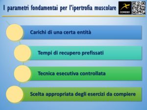 Scheda palestra massa muscolare: esempi e guida pratica