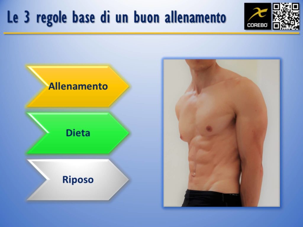 Scheda palestra massa muscolare: esempi e guida pratica