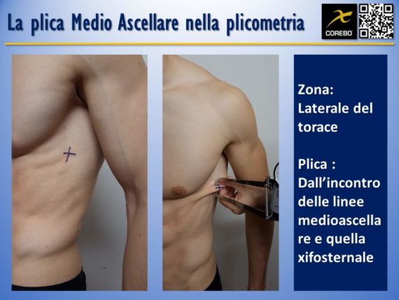 Come fare la plicometria: la guida in domande e risposte - COREBO