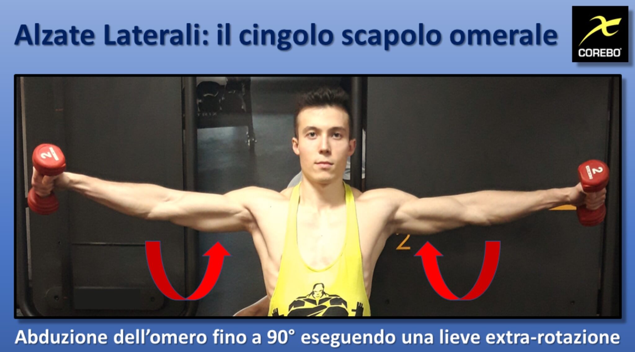 Alzate laterali manubri e bodybuilding: esecuzione ed errori - COREBO
