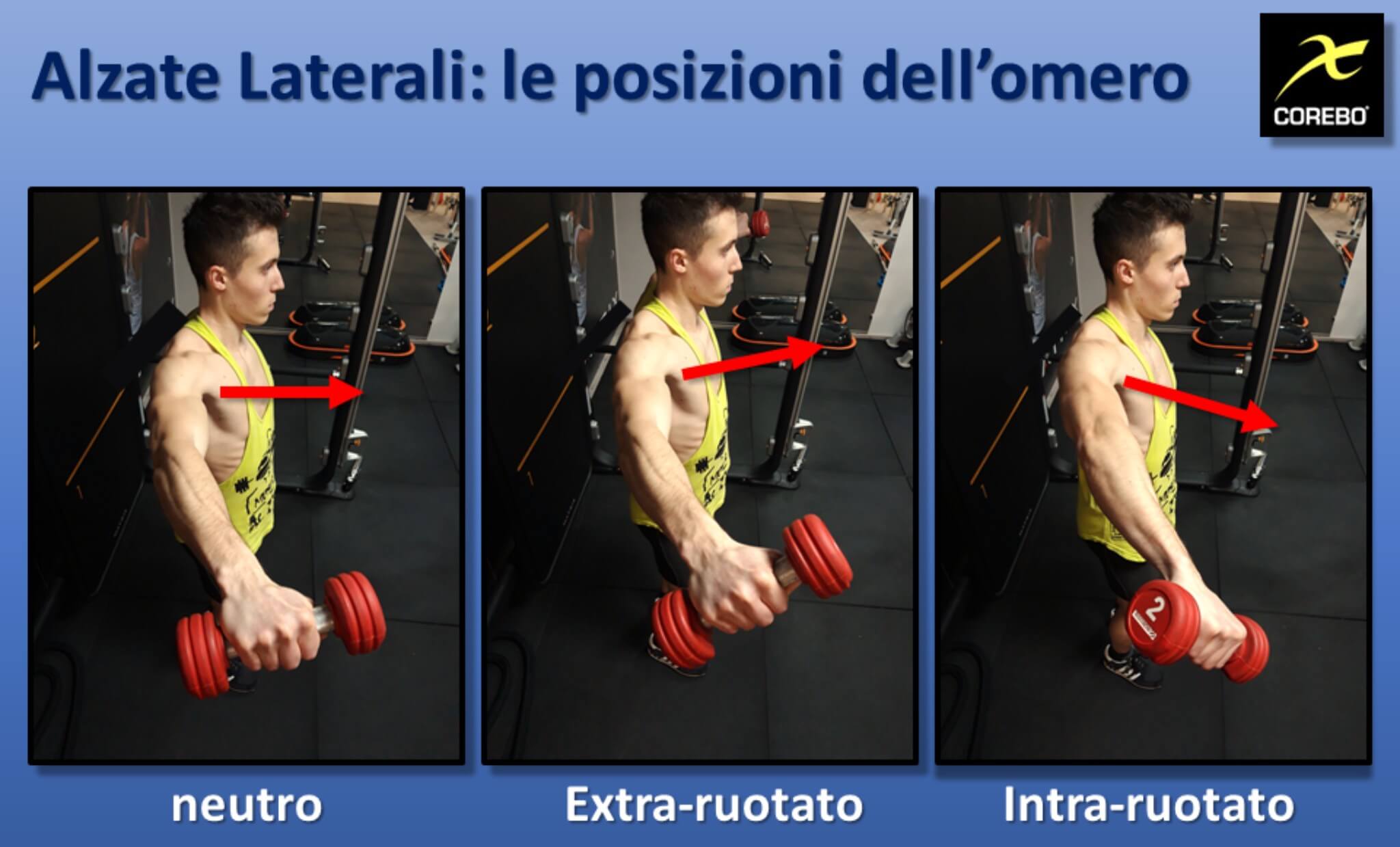 Alzate laterali manubri e bodybuilding: esecuzione ed errori - COREBO