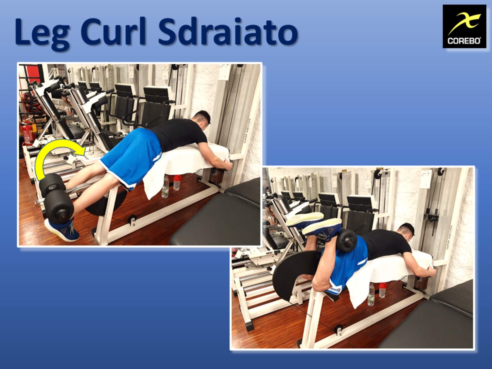 Leg Curl: come farla correttamente in palestra? - COREBO