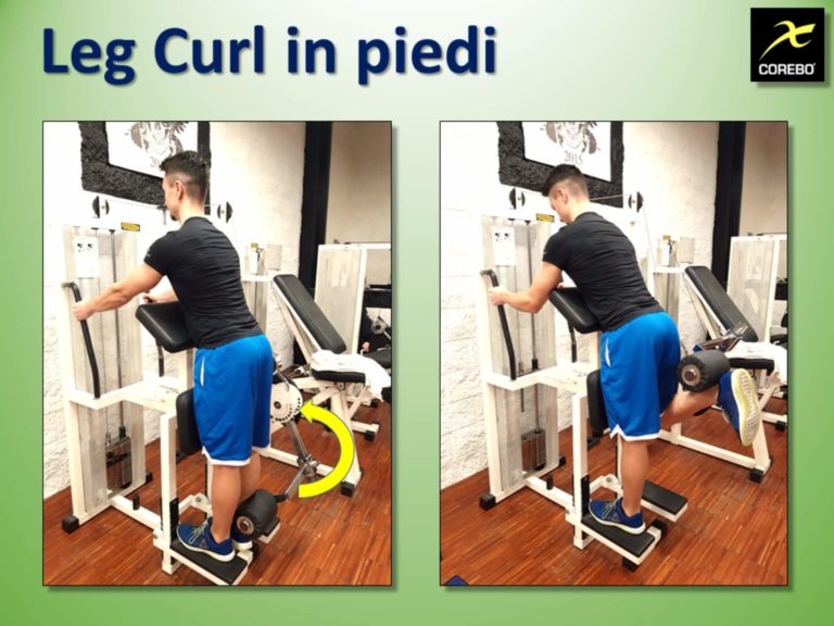Leg Curl: come farla correttamente in palestra? - COREBO