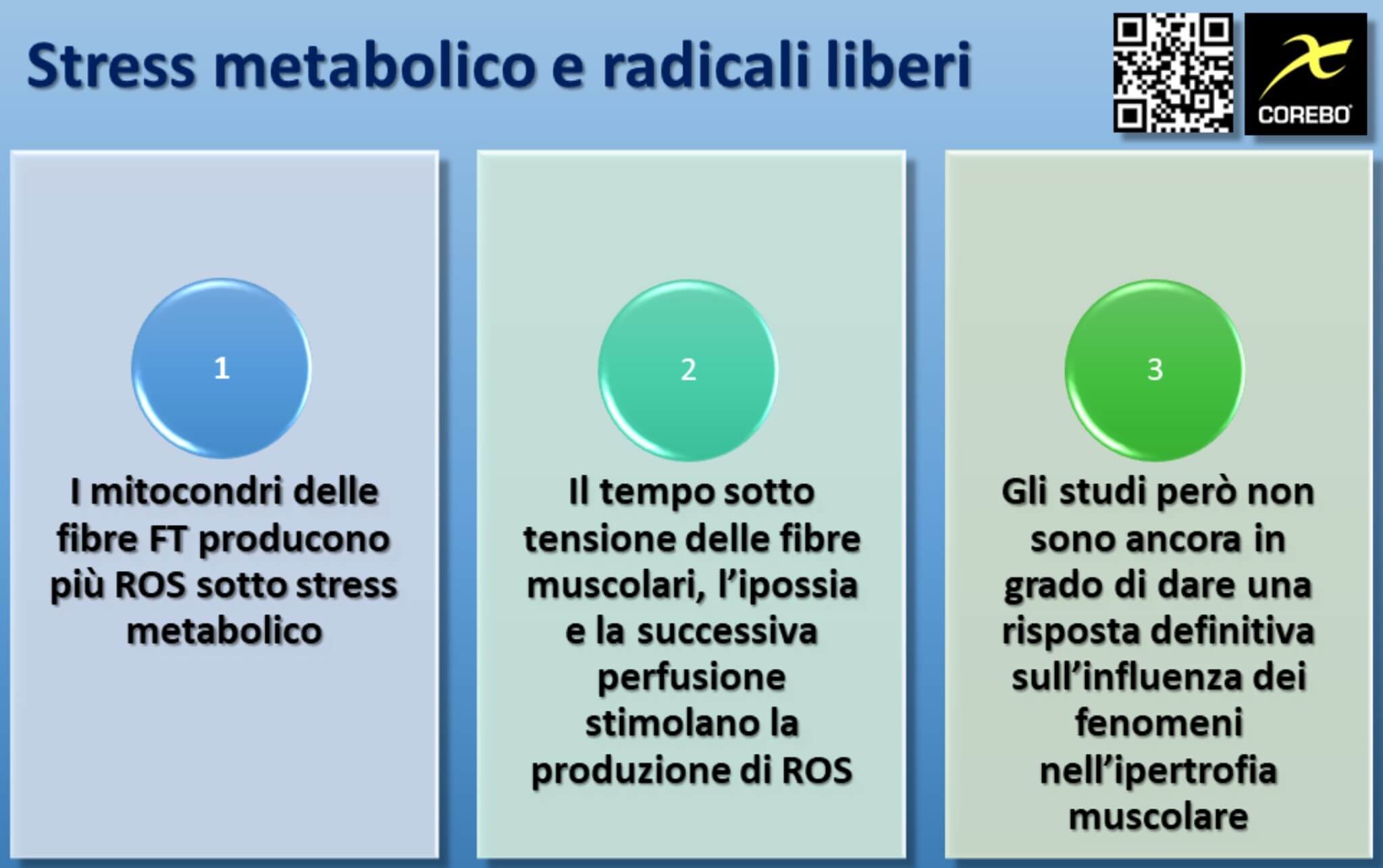 Radicali liberi e ipertrofia muscolare: cosa c'è da sapere - COREBO