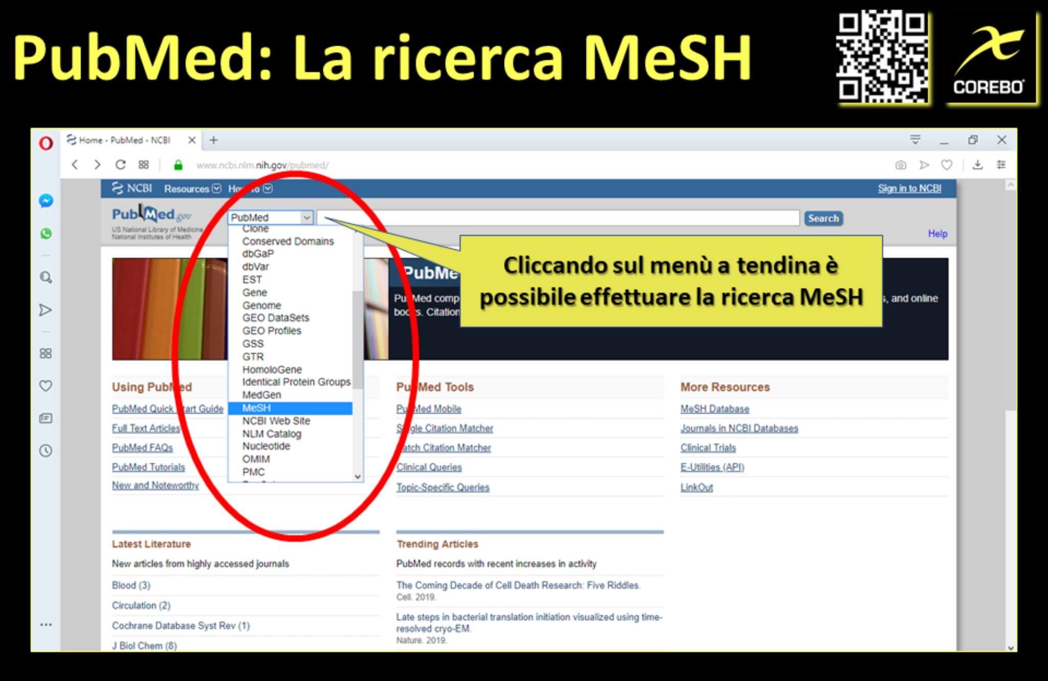 Come usare PubMed al meglio con poche e semplici regole - COREBO