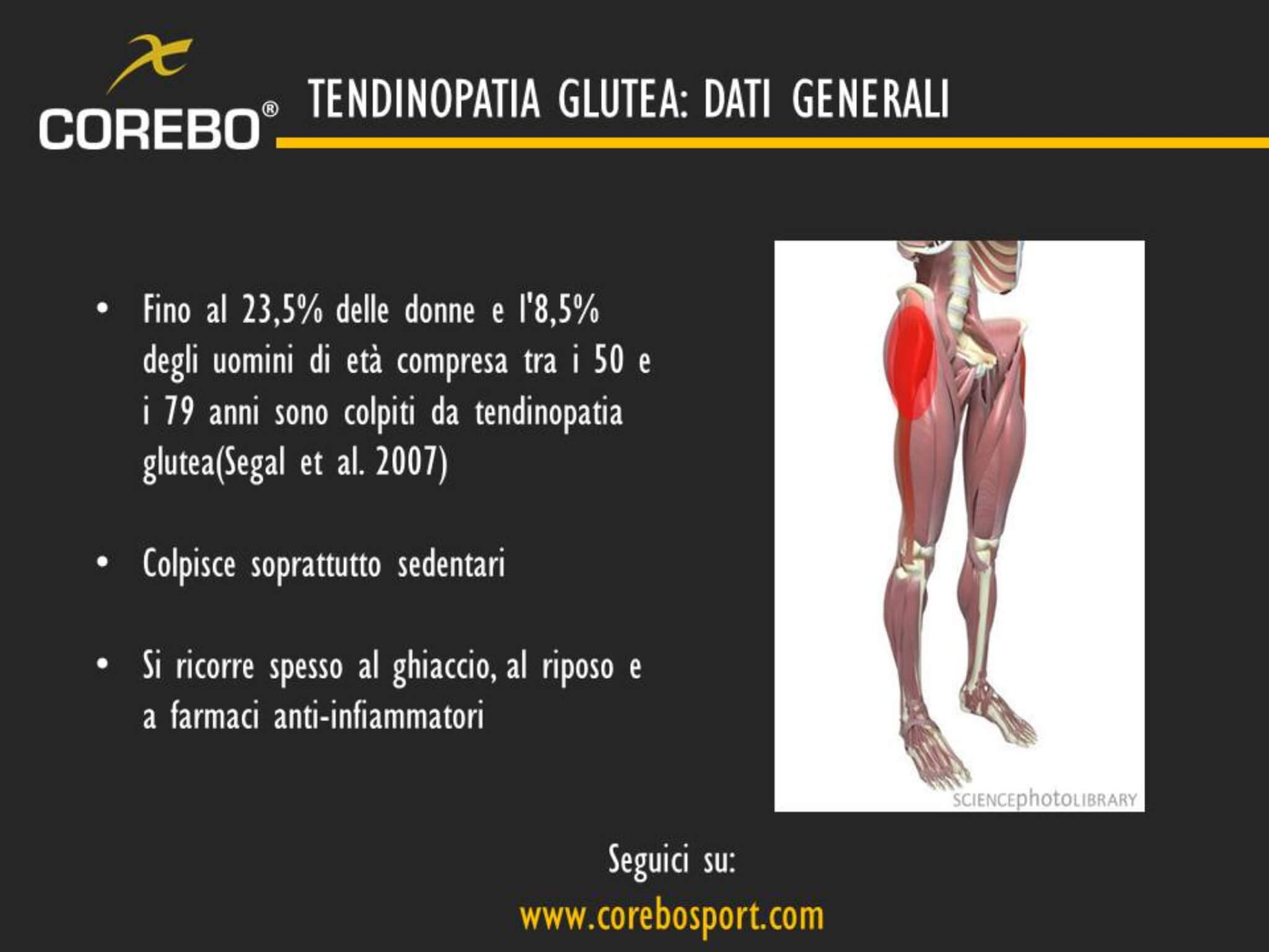 Insercao Do Musculo Da Tuberosidade Glutea
